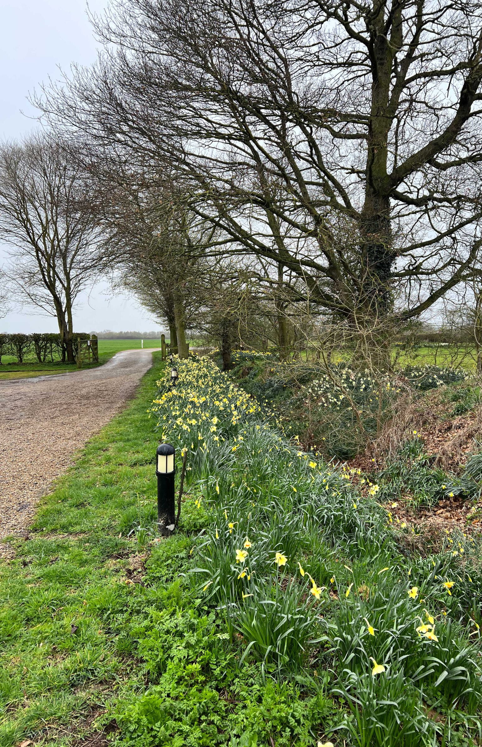 Tendring Colchester Borders Garden Community | Kjellander Sjöberg ...