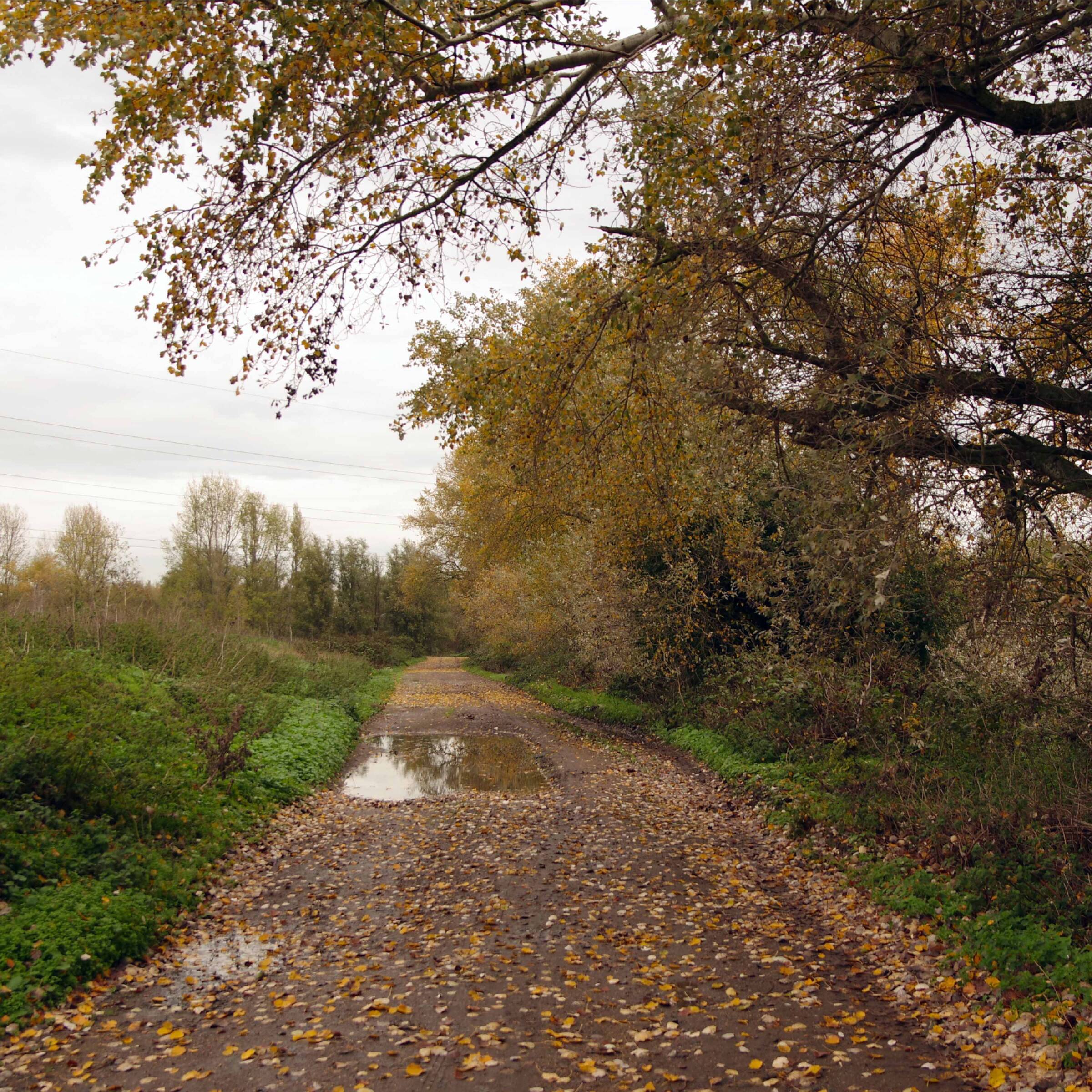 Hartree | Kjellander Sjöberg Arkitektkontor